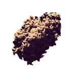 Calories in 100 G Black Rice