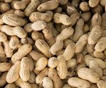 Calories in 1 Peanuts